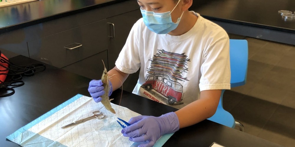 Bionerds, Biology Kids Workshop for elementary kids